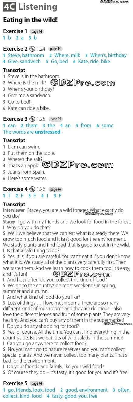 ГДЗ Solutions Elementary Workbook Third Edition ответы