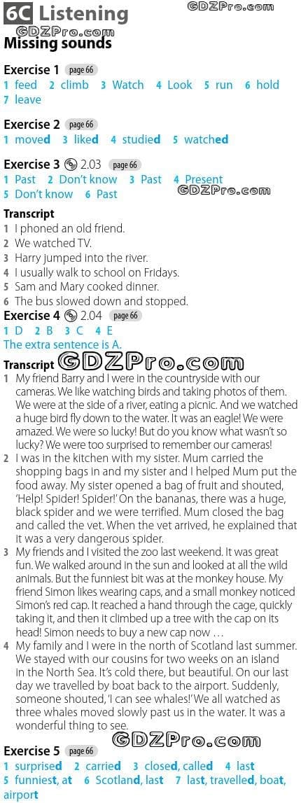 ГДЗ Solutions Elementary Workbook Third Edition ответы